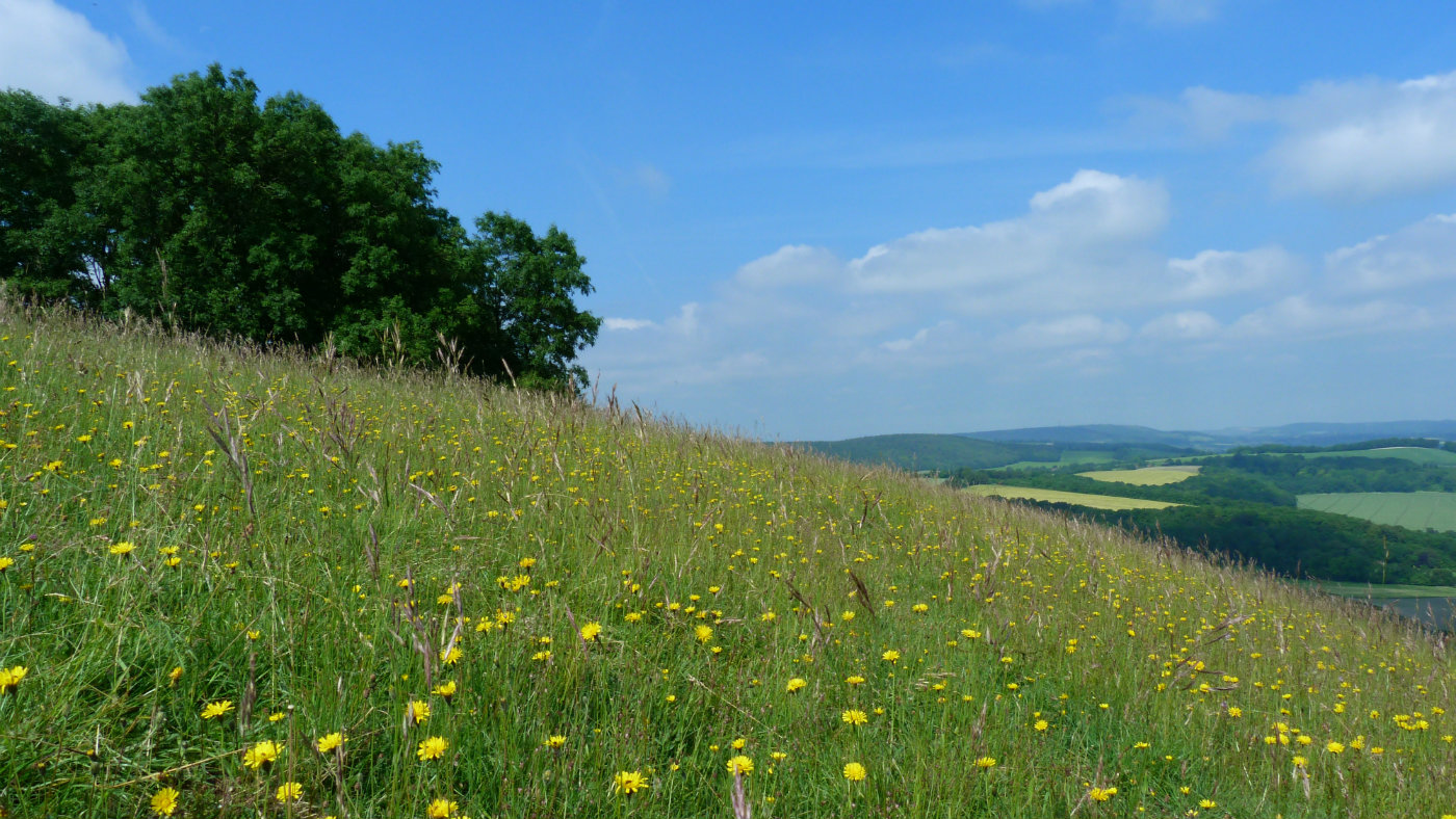 Explore the wider area – Visit Midhurst