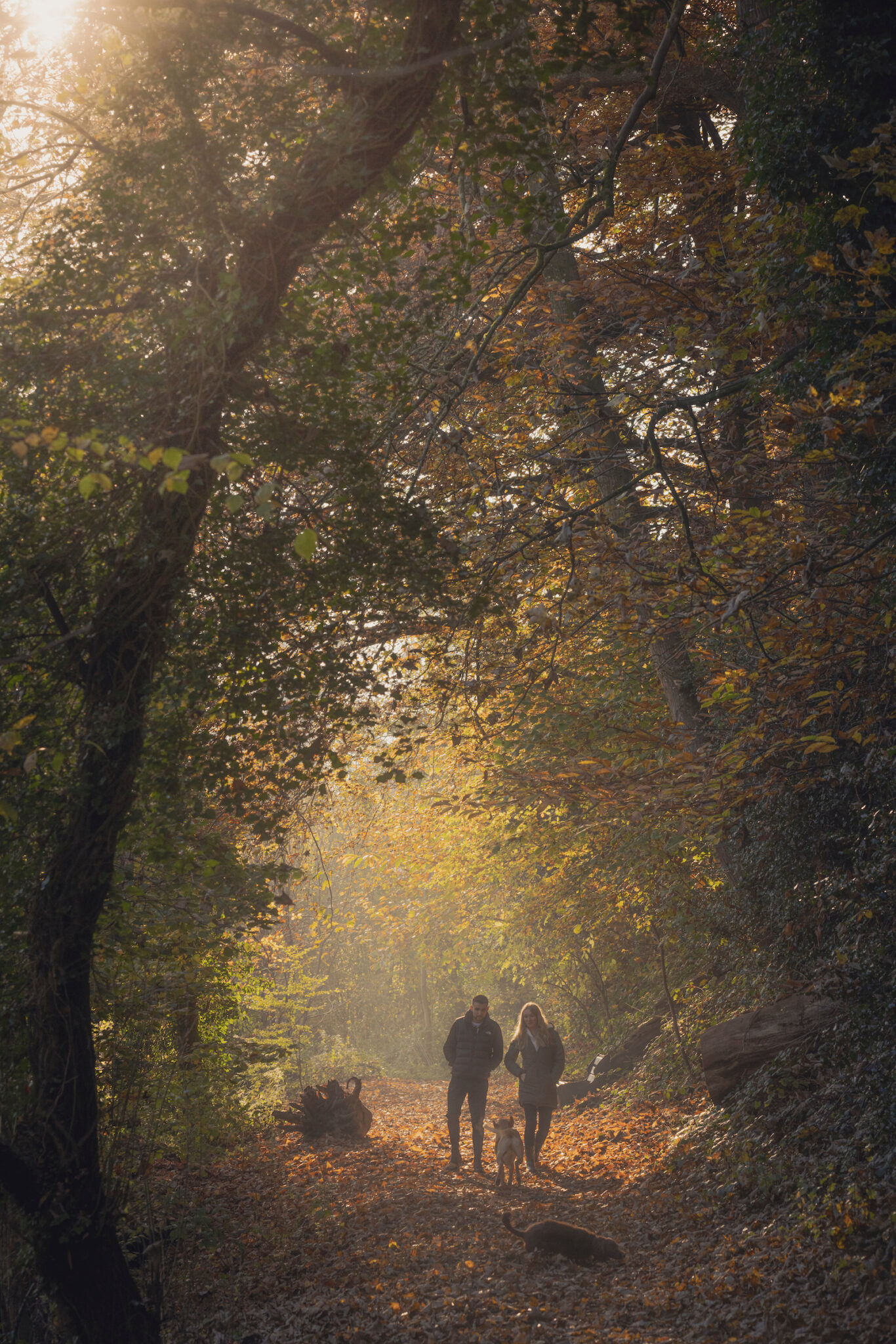 Visit – Visit Midhurst