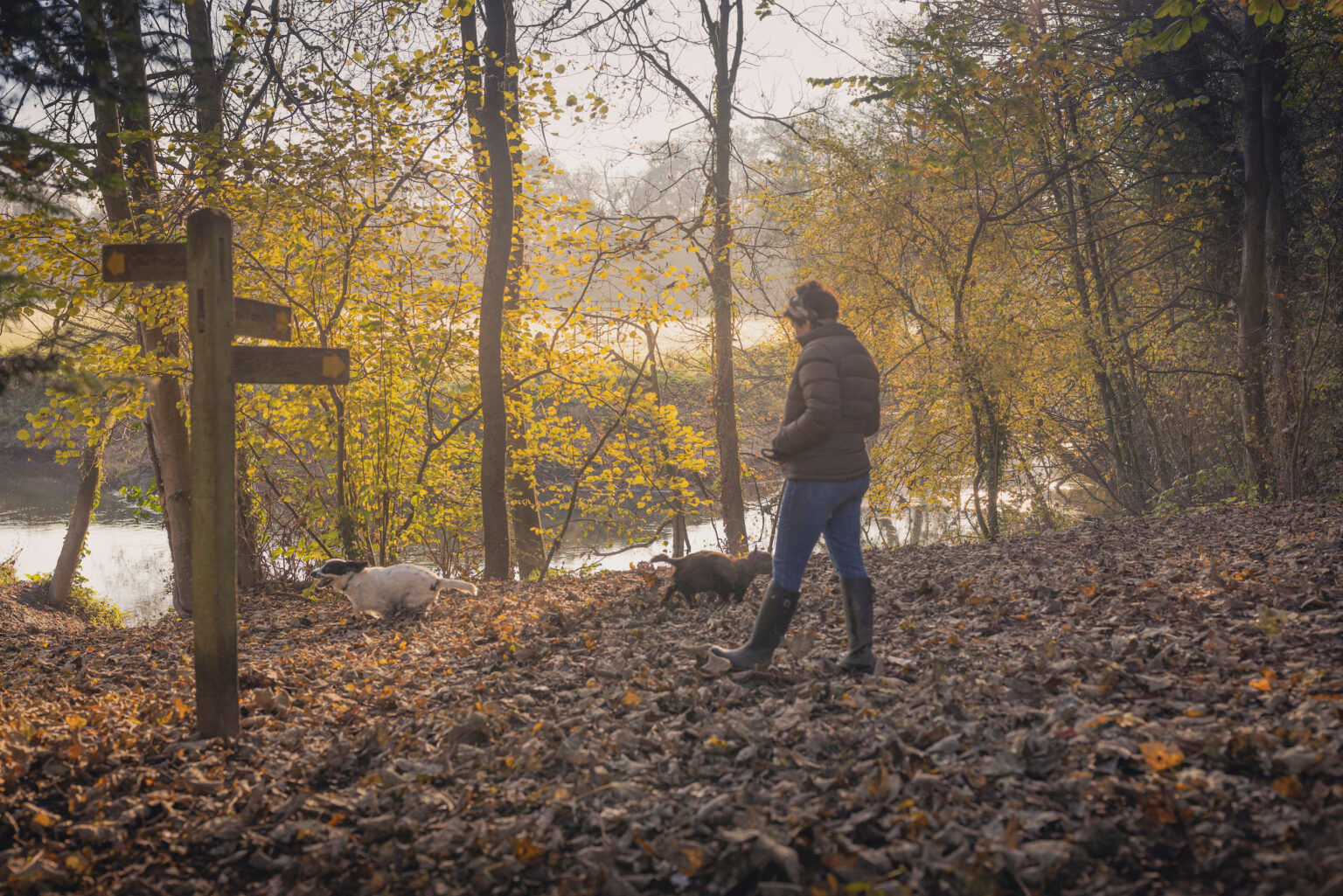 Walks, trails and cycle routes – Visit Midhurst
